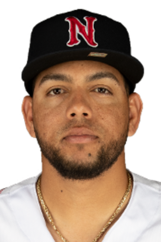 Ariel Hernández Stats, Fantasy & News | MiLB.com