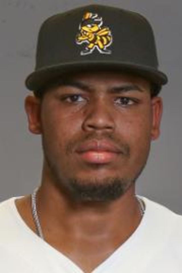 Miguel Almonte Stats, Fantasy & News | MiLB.com