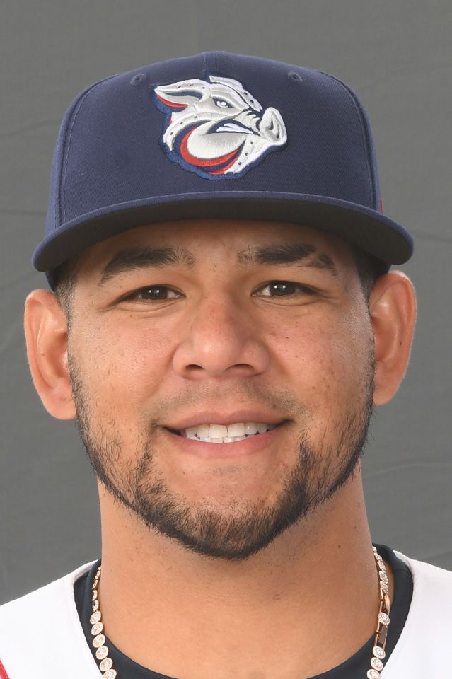José Ruiz Stats, Fantasy & News | MiLB.com