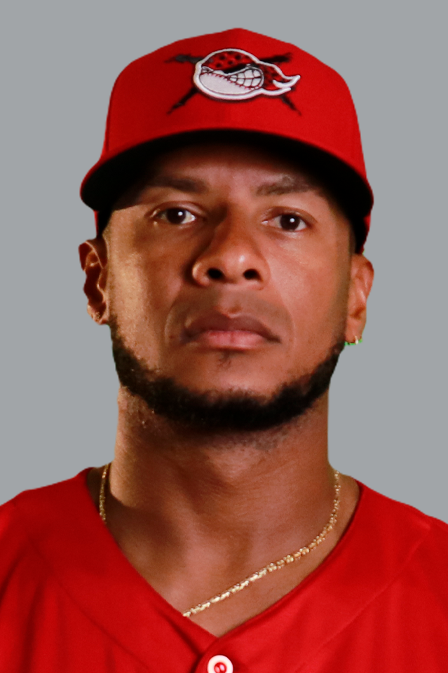 Aríel Miranda Stats, Fantasy & News | MiLB.com