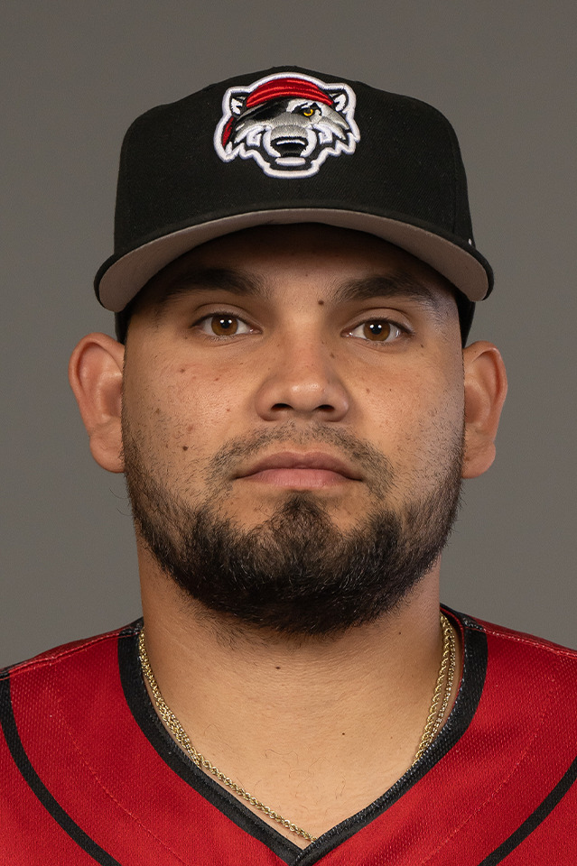 Eliezer Alfonzo Stats, Fantasy & News | MiLB.com