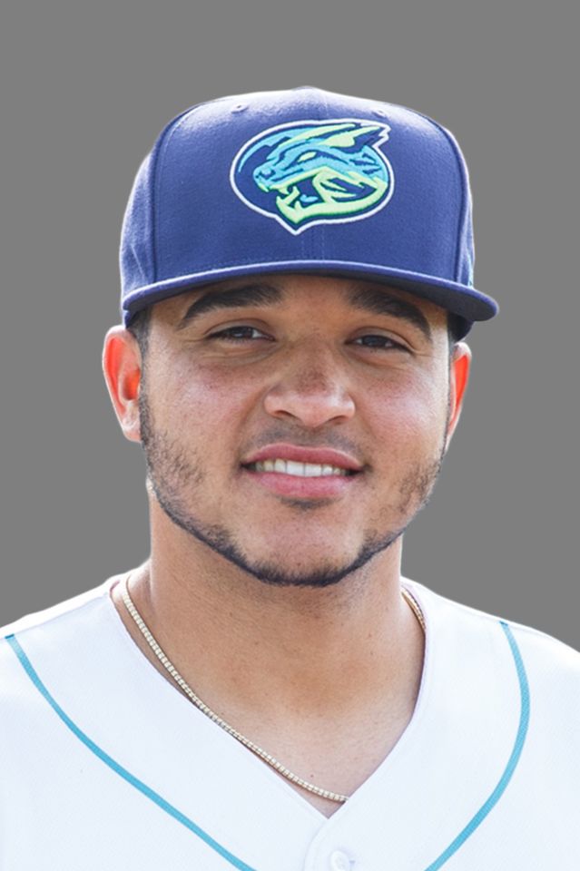 Yainer Diaz Stats, Fantasy & News | MiLB.com