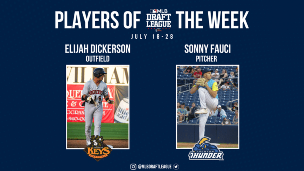 MLB Draft League | MLBDraftLeague.com | MLB Draft League