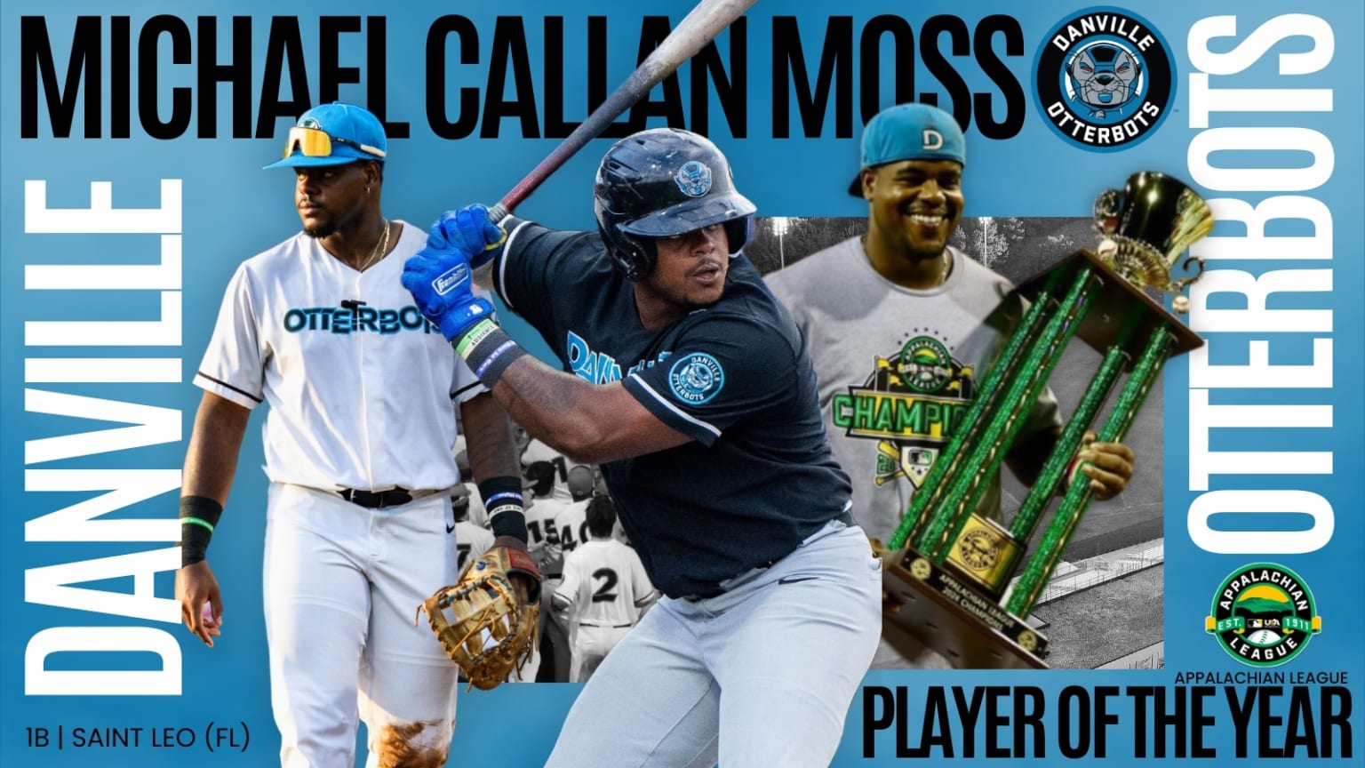 Danville Otterbots | Appalachian League | Danville Otterbots