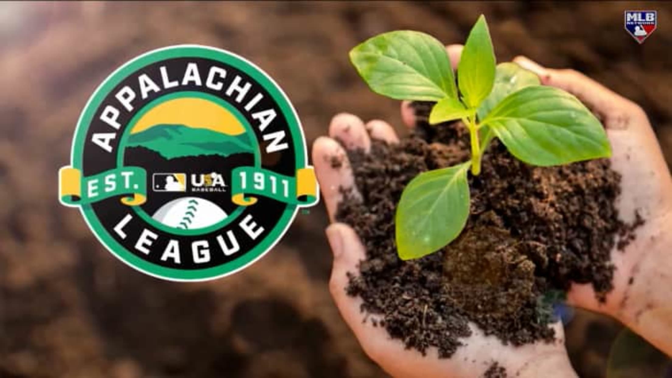 Bluefield Ridge Runners | Appalachian League | Bluefield Ridge Runners