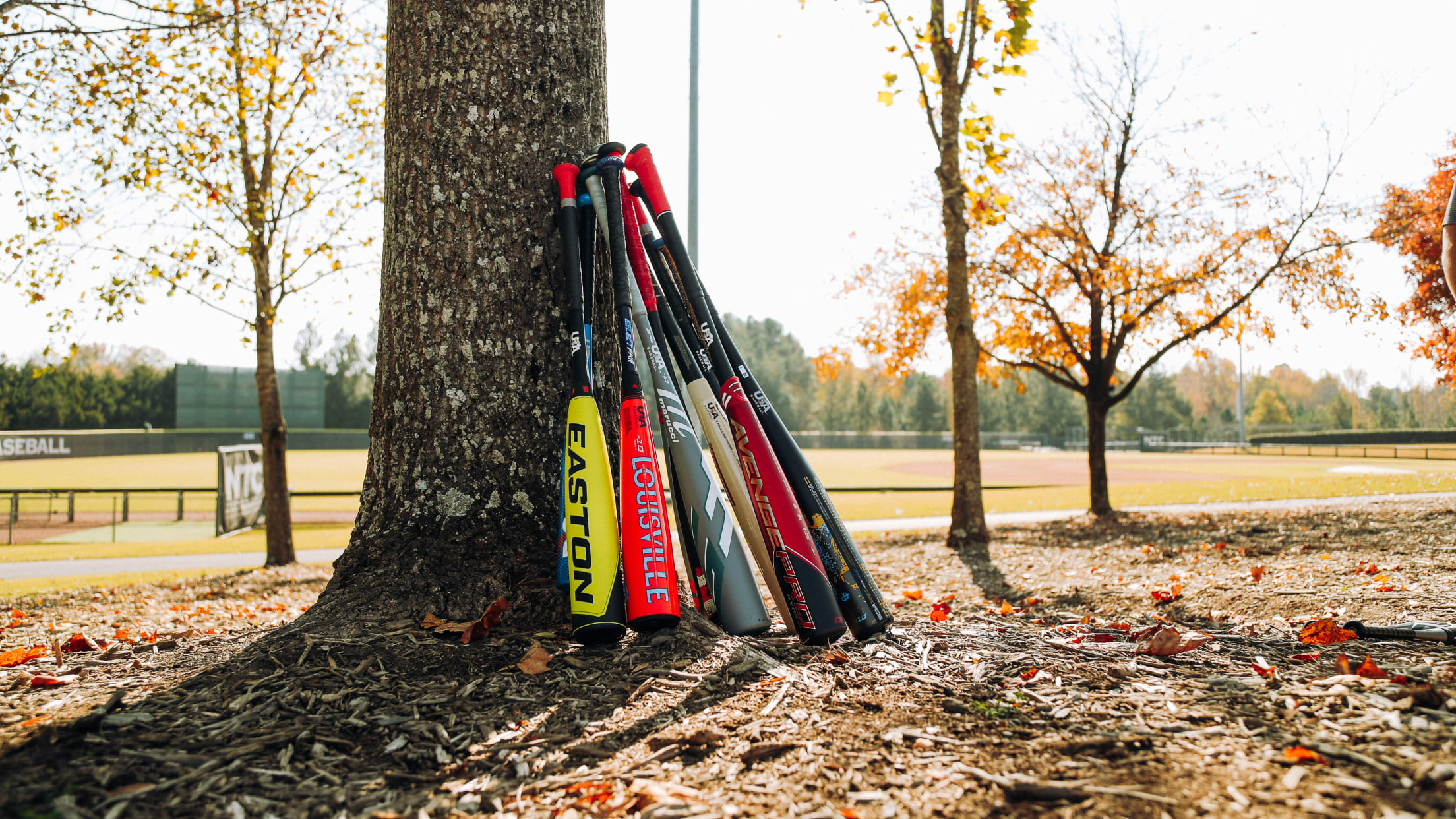 USABat | USA Baseball