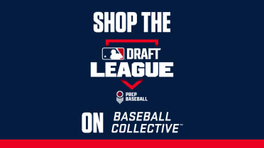 MLB Draft League | MLBDraftLeague.com | MLB Draft League