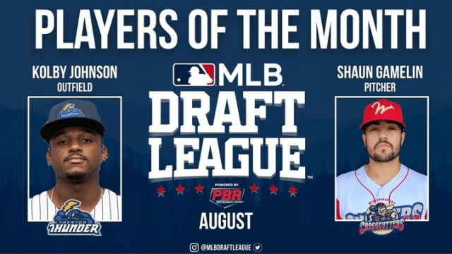 MLB Draft League | MLBDraftLeague.com | MLB Draft League