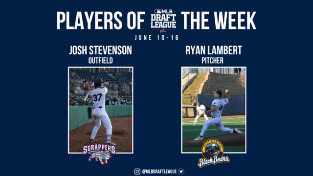 MLB Draft League | MLBDraftLeague.com | MLB Draft League