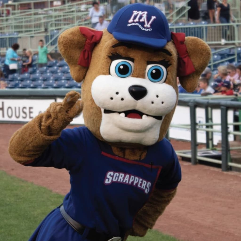Front Office Staff | Mahoning Valley Scrappers
