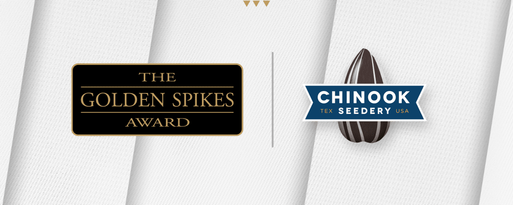 Golden Spikes Award Home | USA Baseball