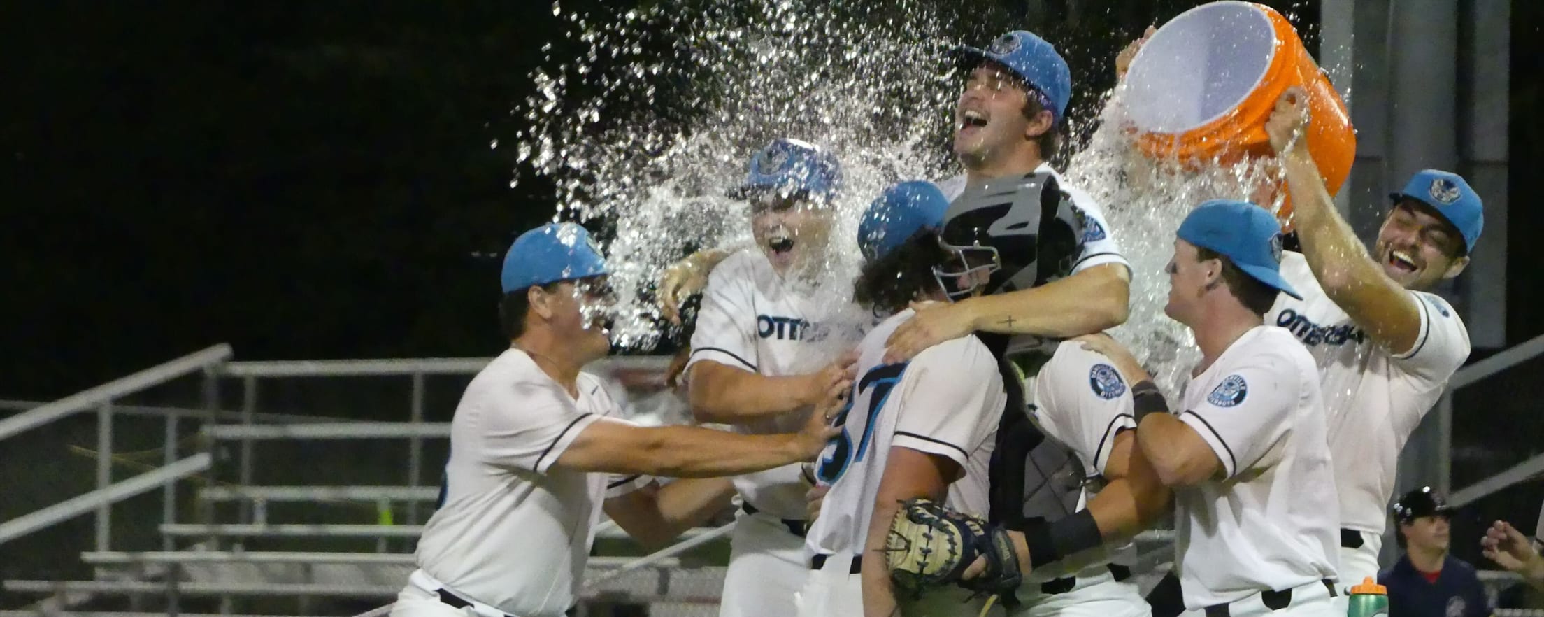 Danville Otterbots | Appalachian League | Danville Otterbots