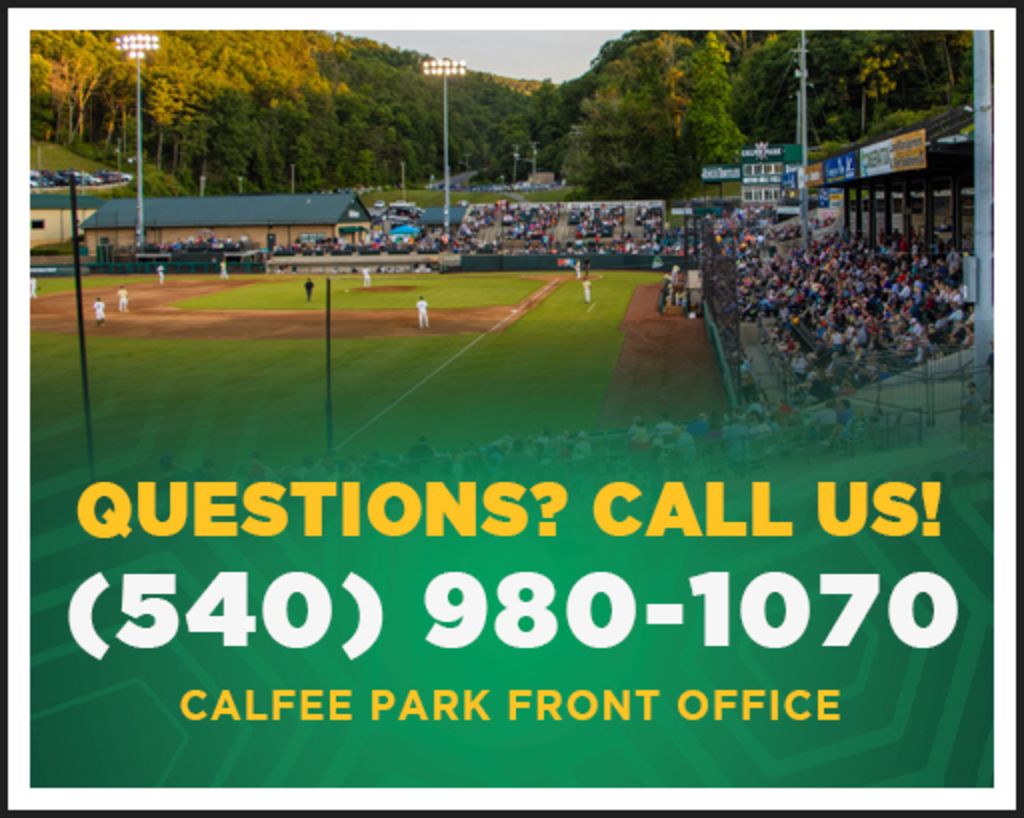 Pulaski River Turtles | Appalachian League | Pulaski River Turtles